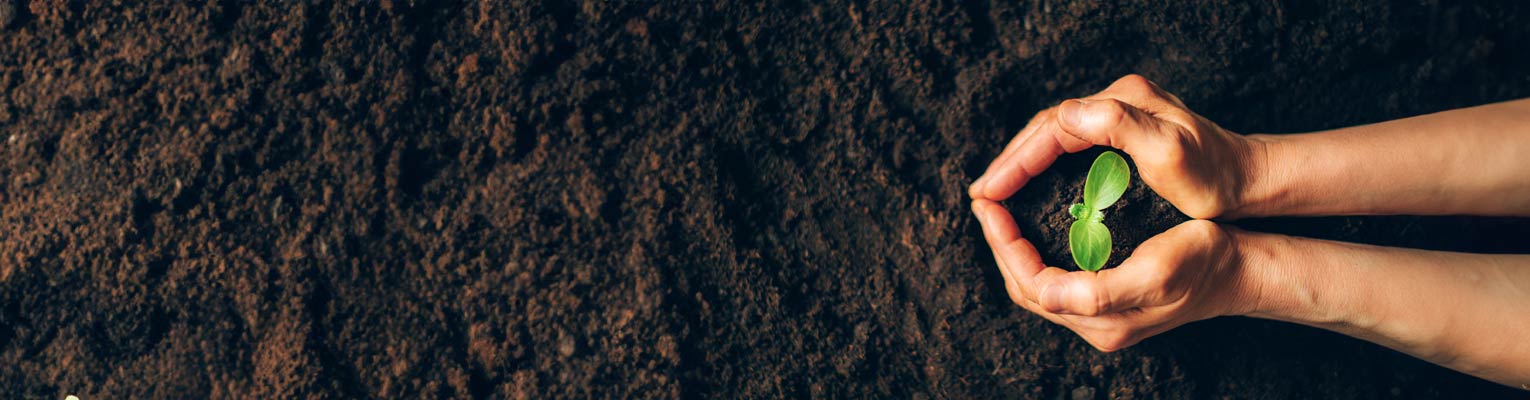 Trust Nature - Athachi